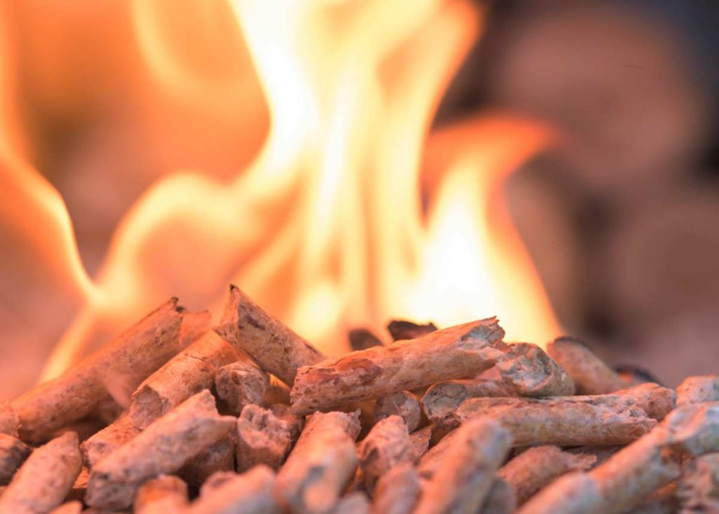 Wood sawdust for meat smoking - Worldexport