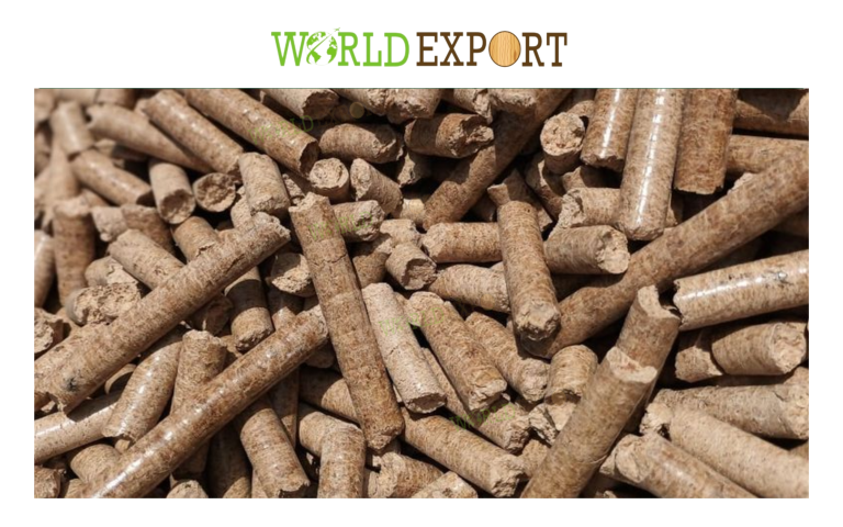 What is FSC Certification? A Key Standard in the Wood Industry